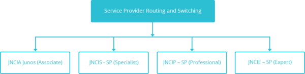 JNCIS-SP – Rack Professional